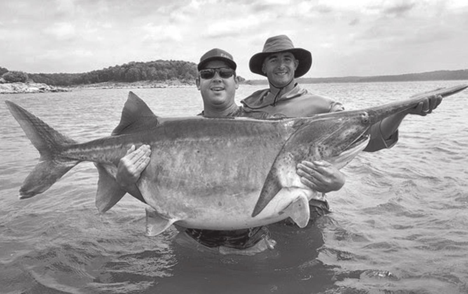 Edmond angler snags new state-record paddlefish at 146.7 pounds