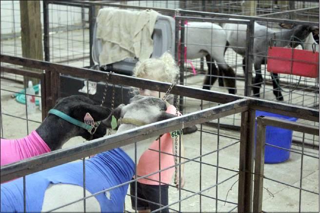 2018 McIntosh County Fair Indoor Exhibits Results - Eufaula Indian Journal