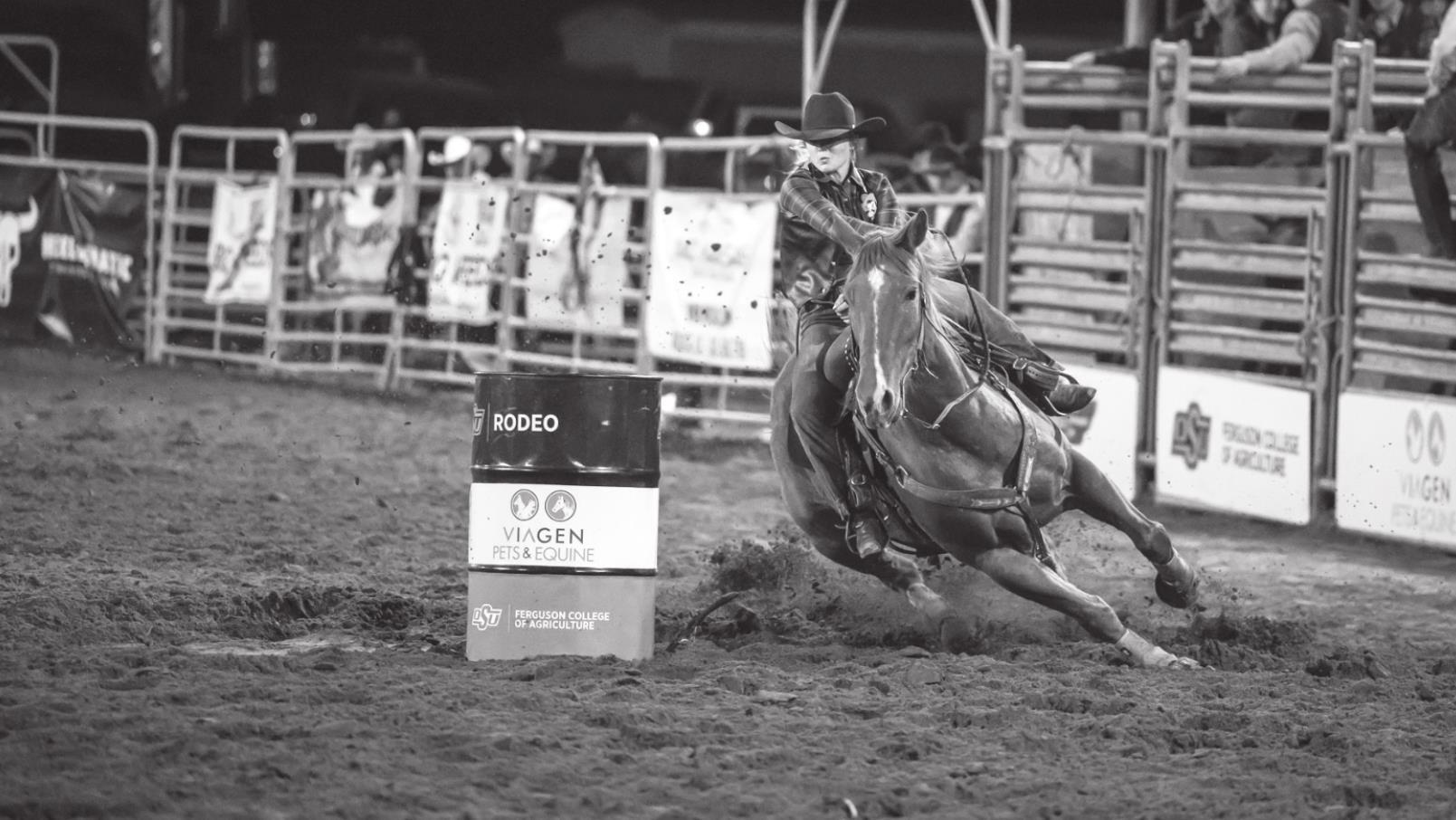 OSU to send five to College National Finals Rodeo - Eufaula Indian Journal